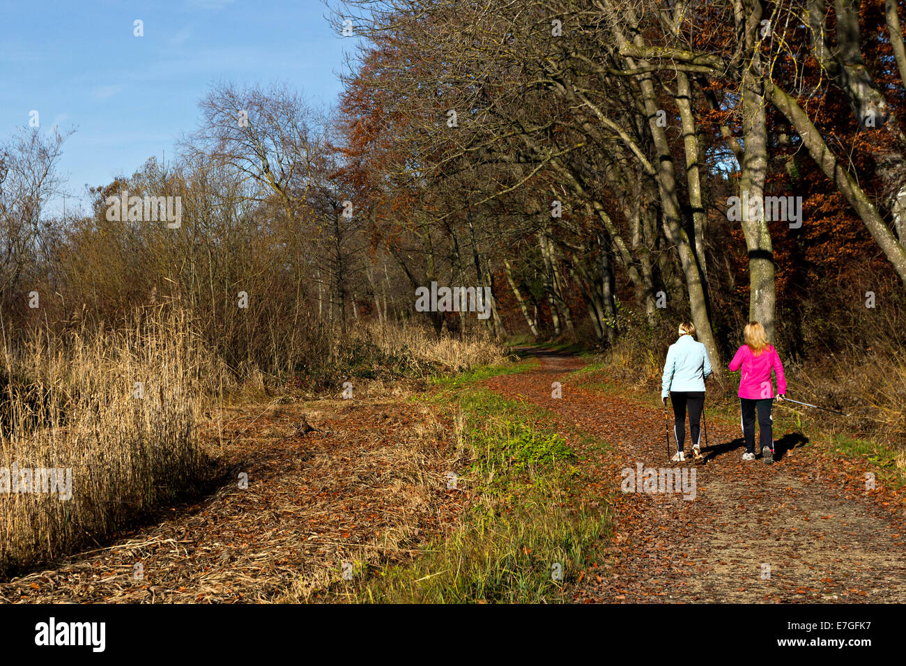 2 woman walking on country pathway with Nordic sticks, Chiemgau Upper ...