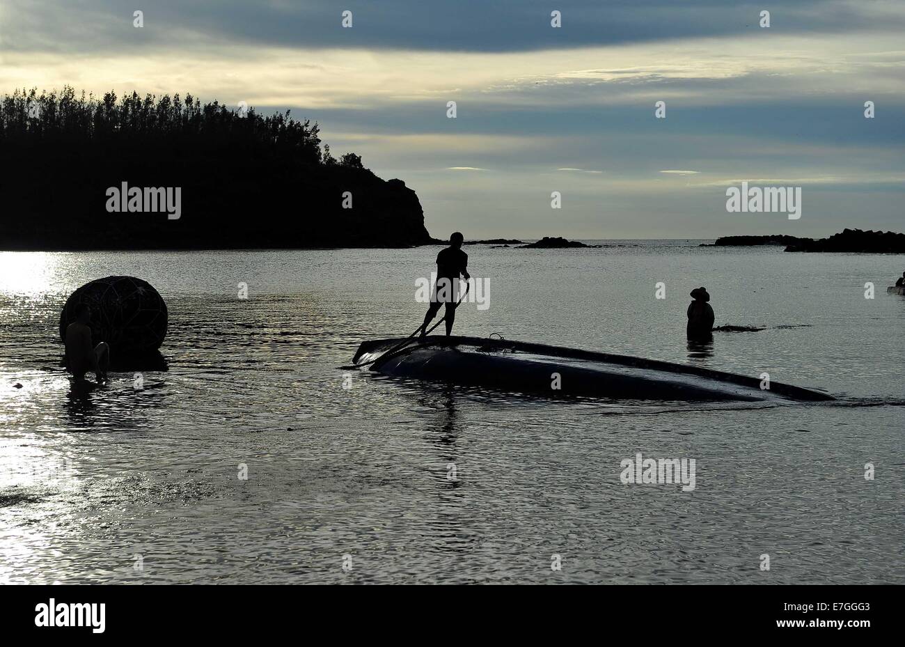 Sunken boat in harbour hi-res stock photography and images - Alamy