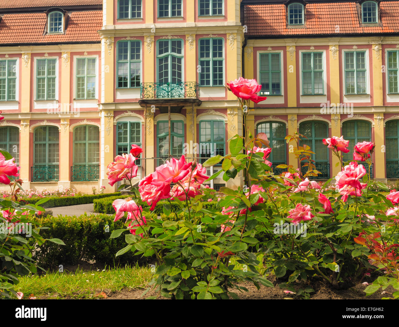 Historical polish flora hi-res stock photography and images - Alamy