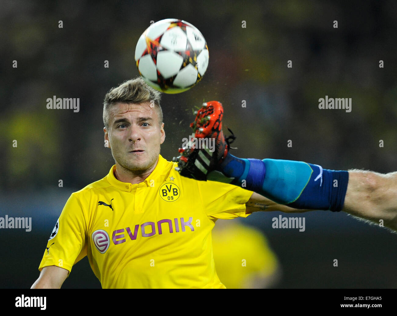 Ciro immobile champions league hi-res stock photography and images - Alamy