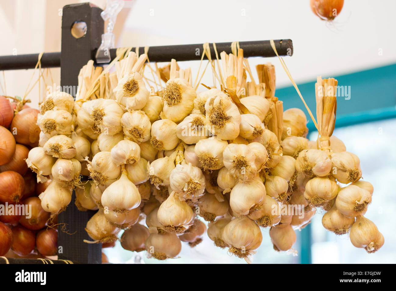 Different types of Garlic on display in Farm Shop Stock Photo - Alamy