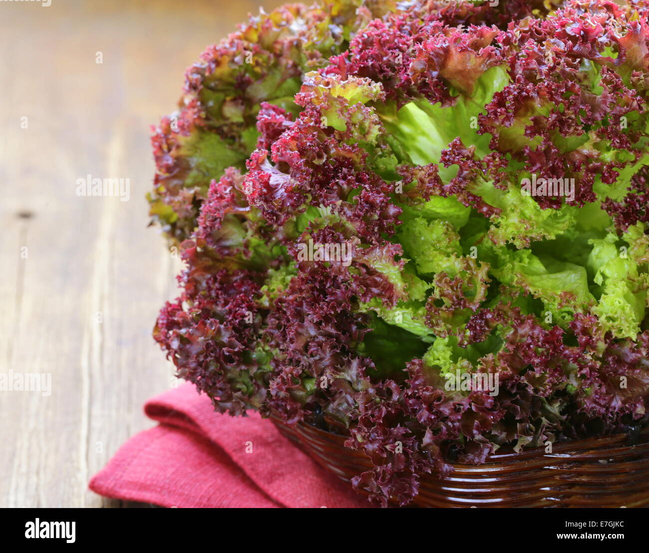 Purple Lettuce High Resolution Stock Photography and Images - Alamy