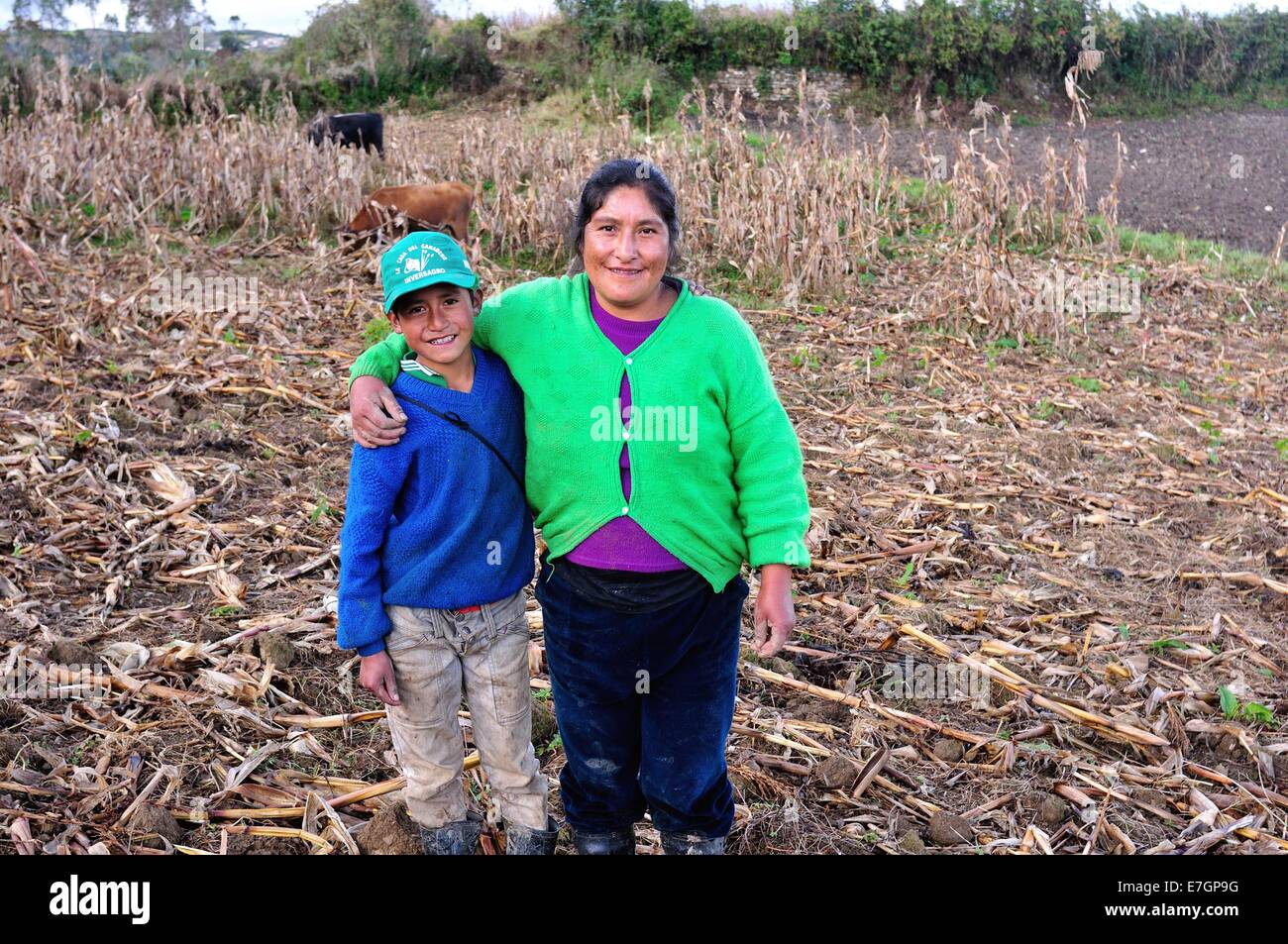 Corn plantation in Cruzpata - CHACHAPOYAS . Department of Amazonas ...