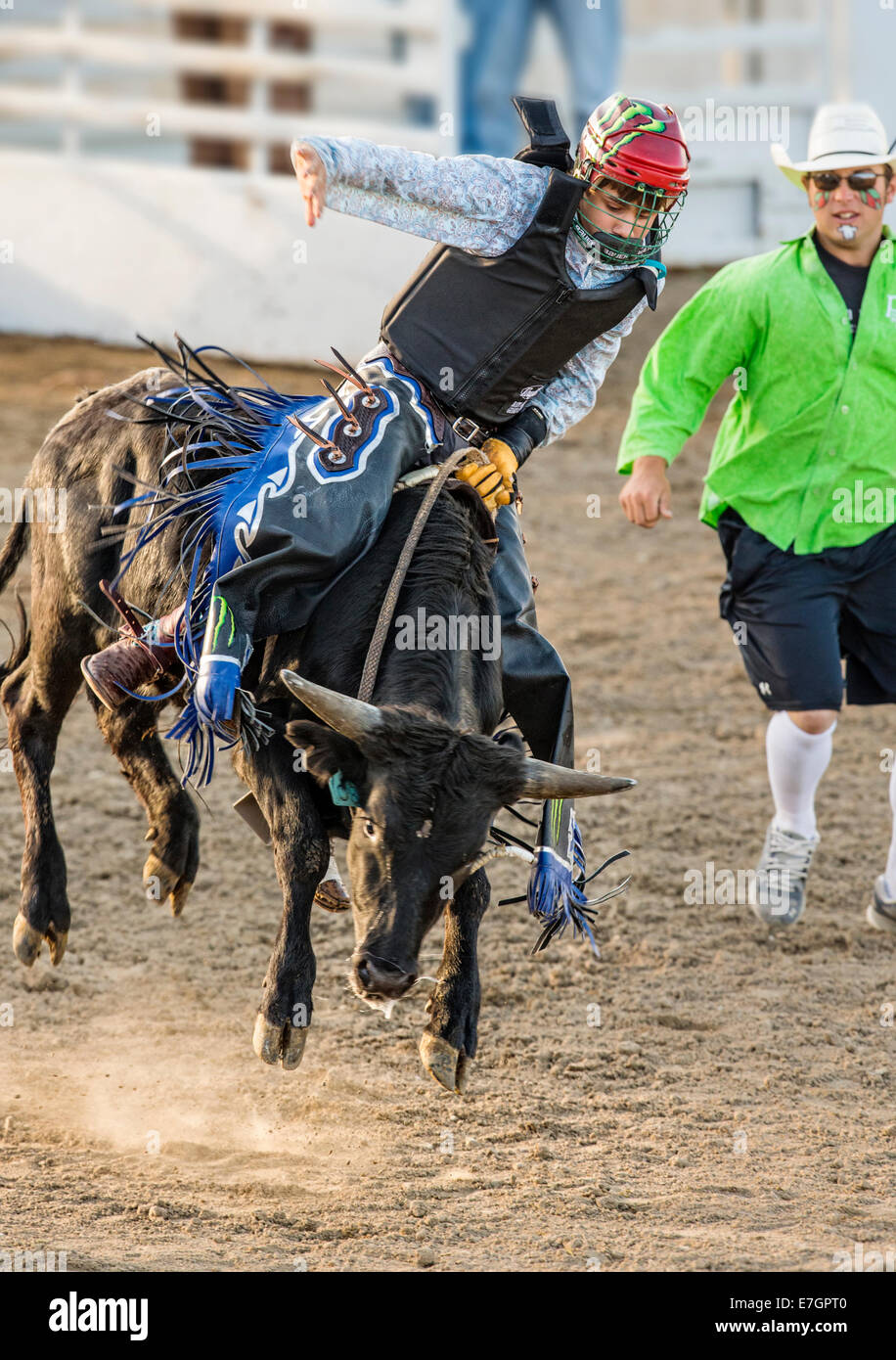 Young cowboy riding a small bull in the Junior Steer Riding competition ...
