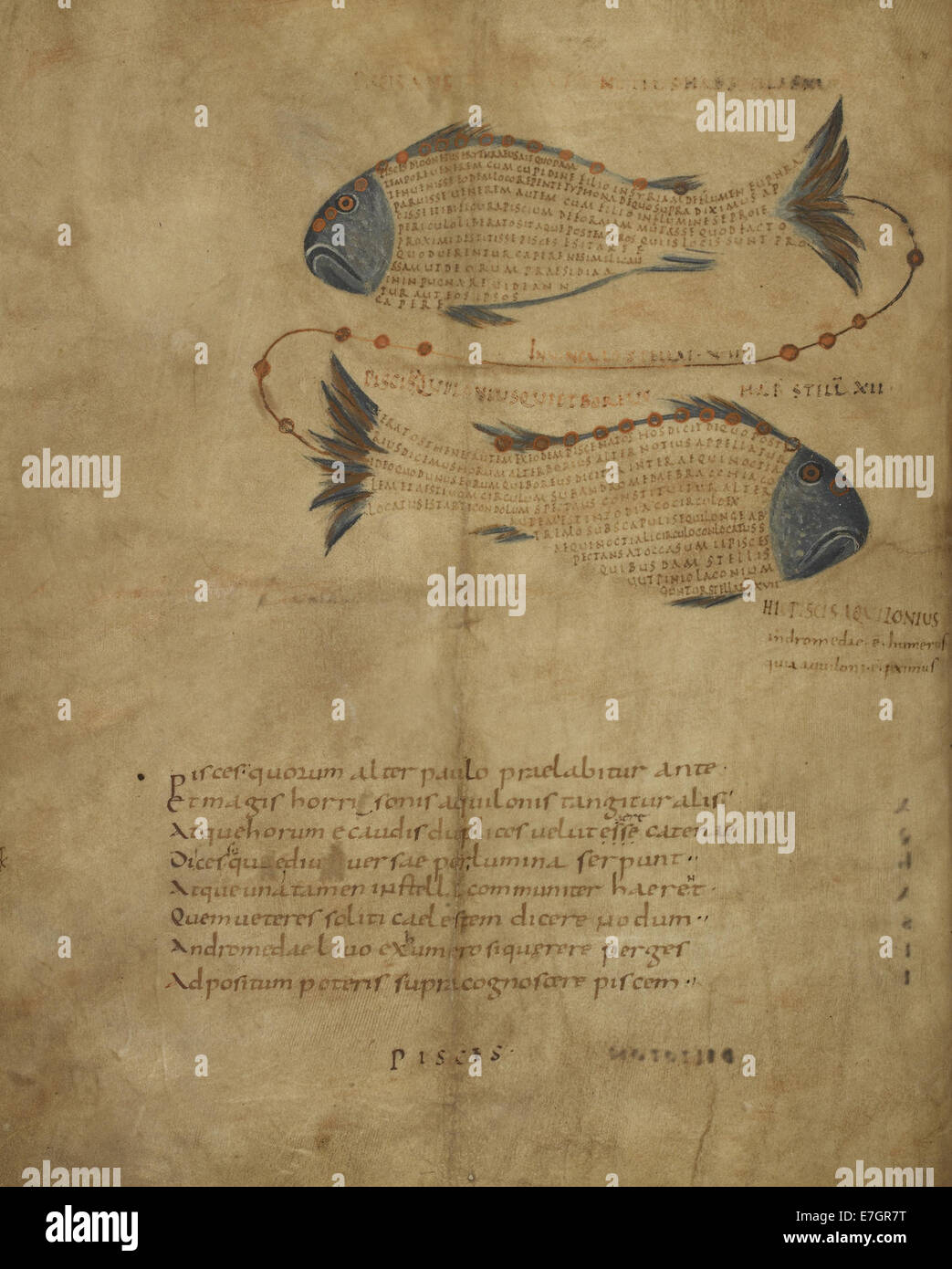 Illustration from the Harley Aratus manuscript (c.820-840), depicting ...