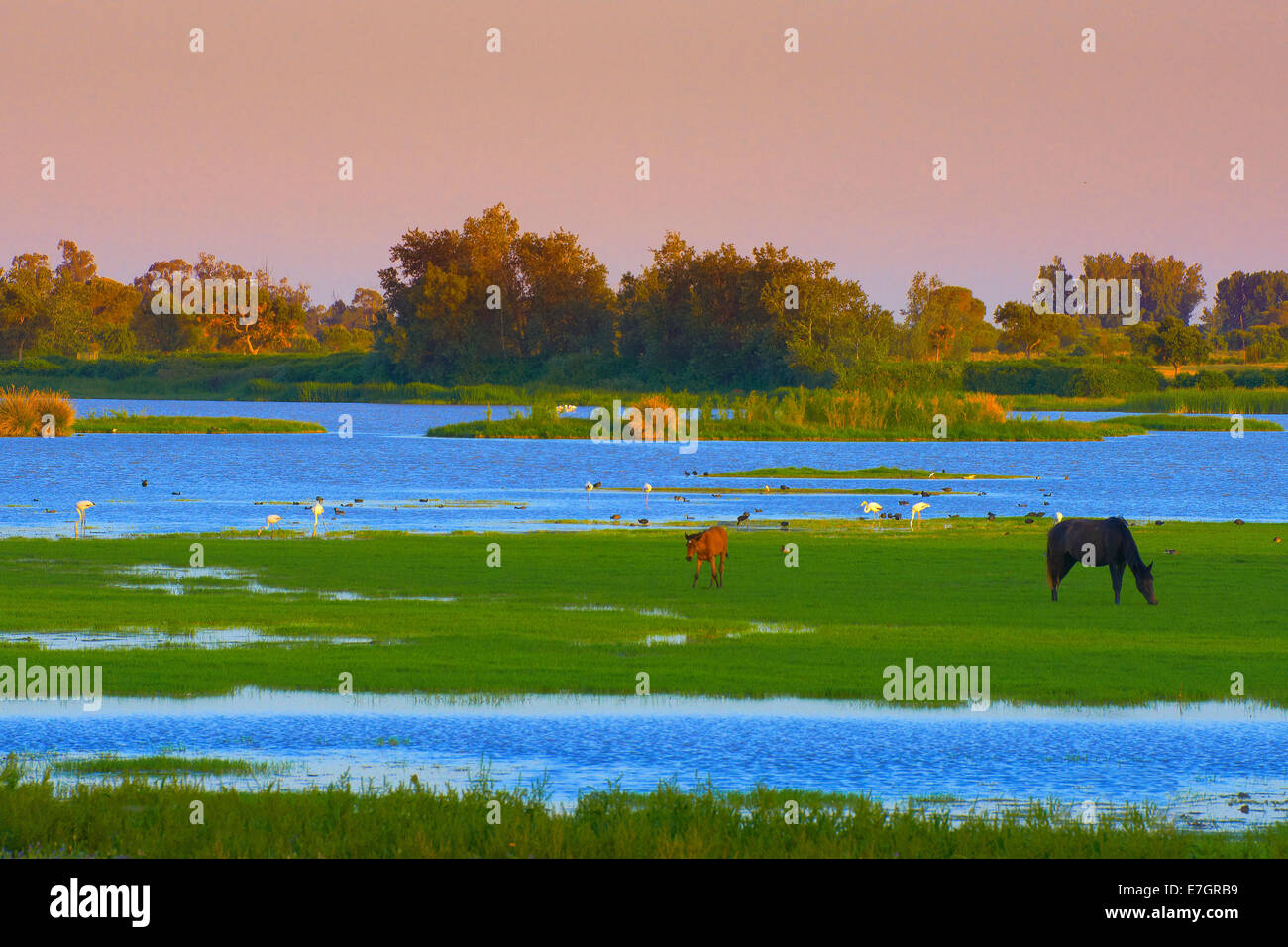 El Rocio village and Hermitage at Sunset, Almonte, El Rocio, Marismas ...
