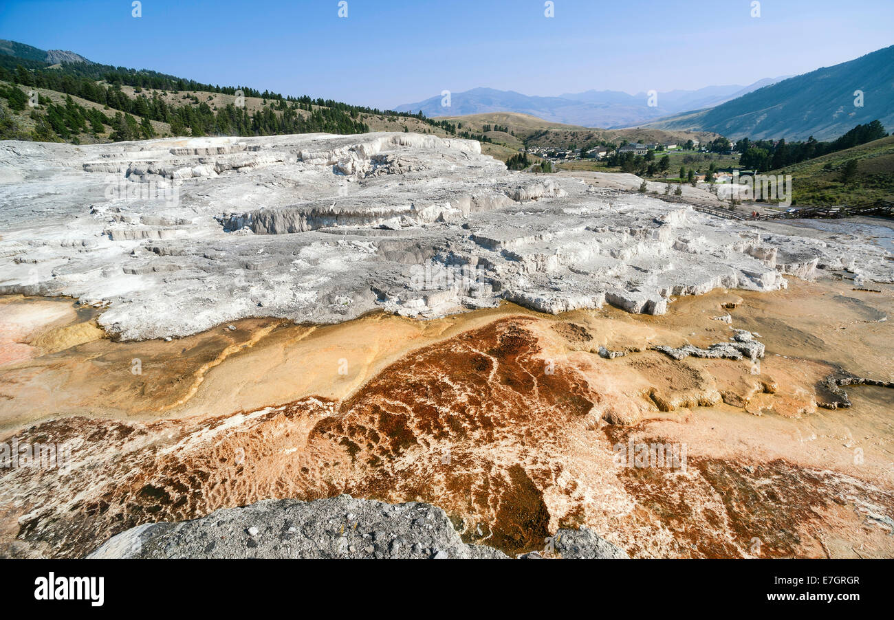 Calcium Carbonate and other deposits from hot springs in the heart of ...
