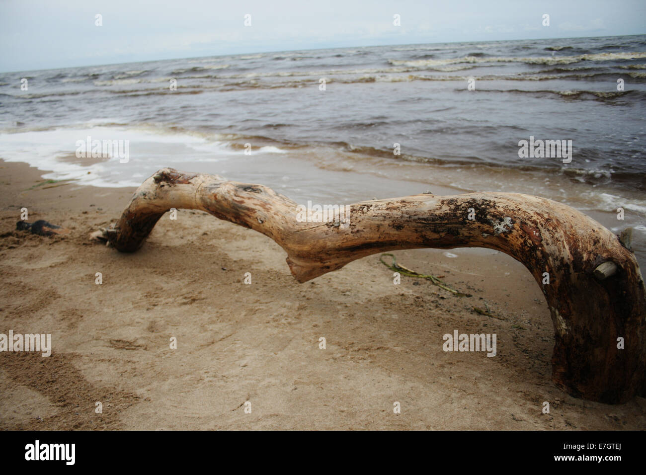 Peipsi lake, estonia, east Stock Photo - Alamy