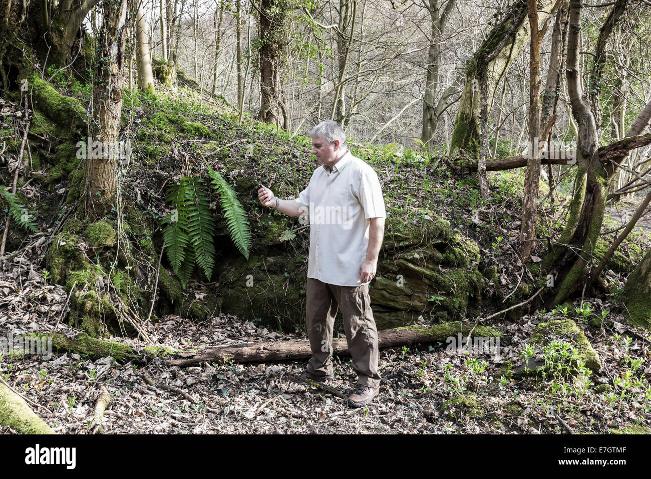 Middle aged man in forest with smart phone Stock Photo - Alamy
