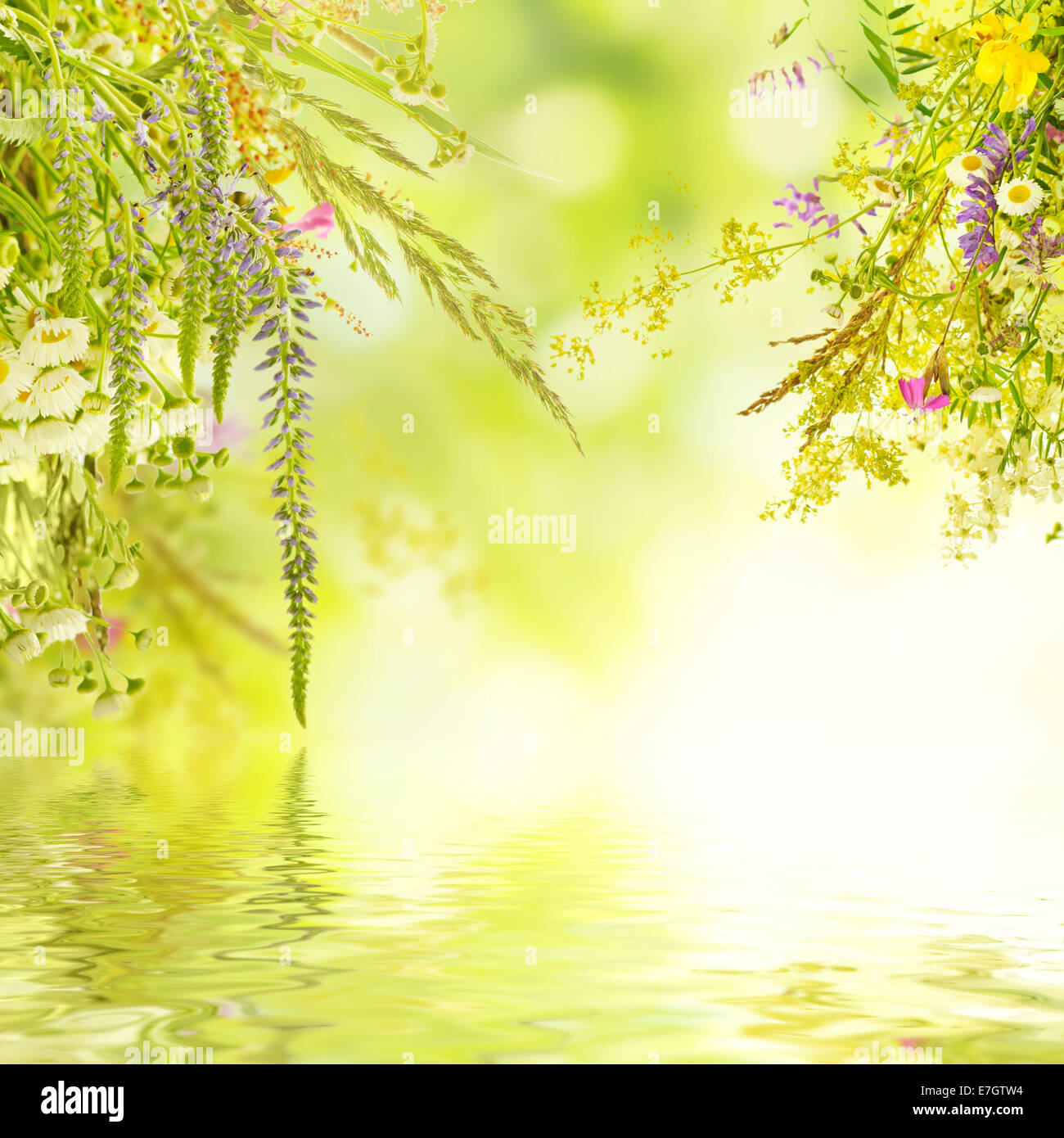 Natural floral background Stock Photo - Alamy