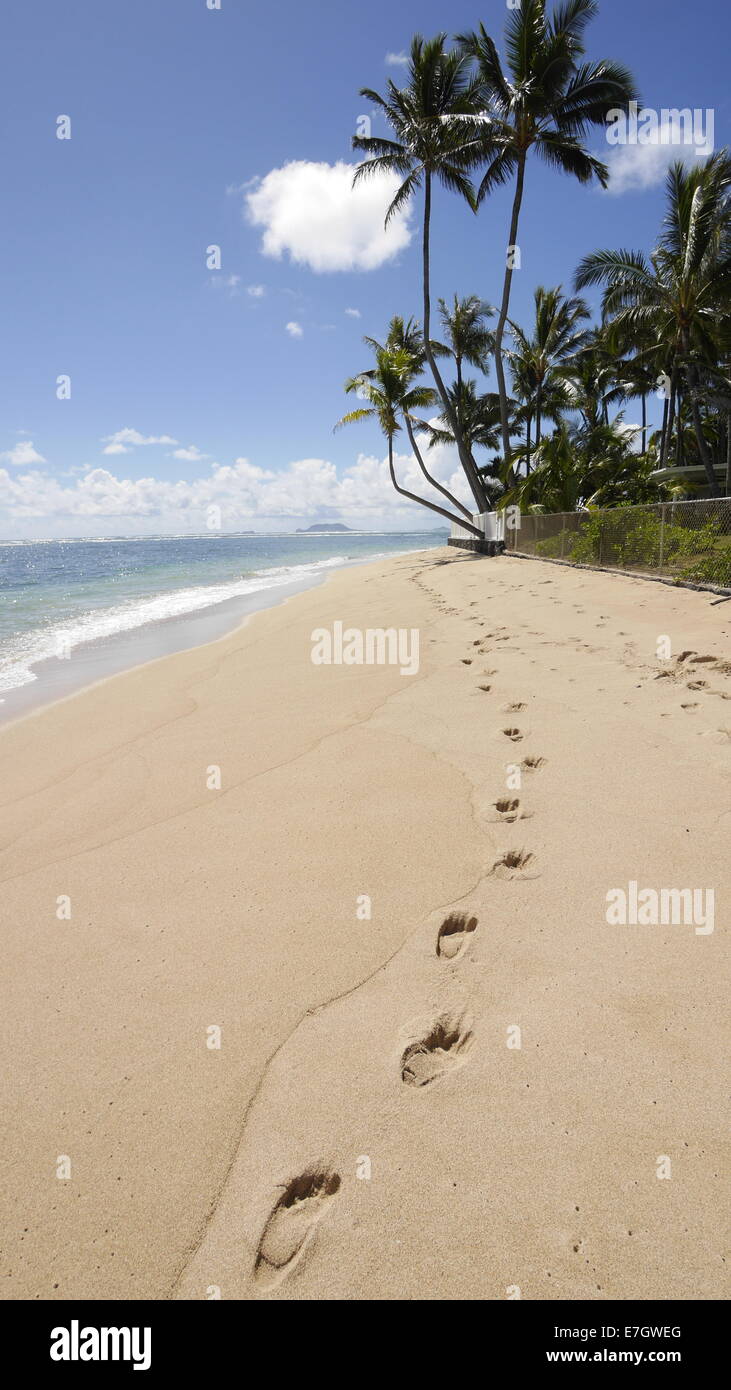 Kaaawa Beach Park, Oahu, Hawaii, shadow Stock Photo - Alamy
