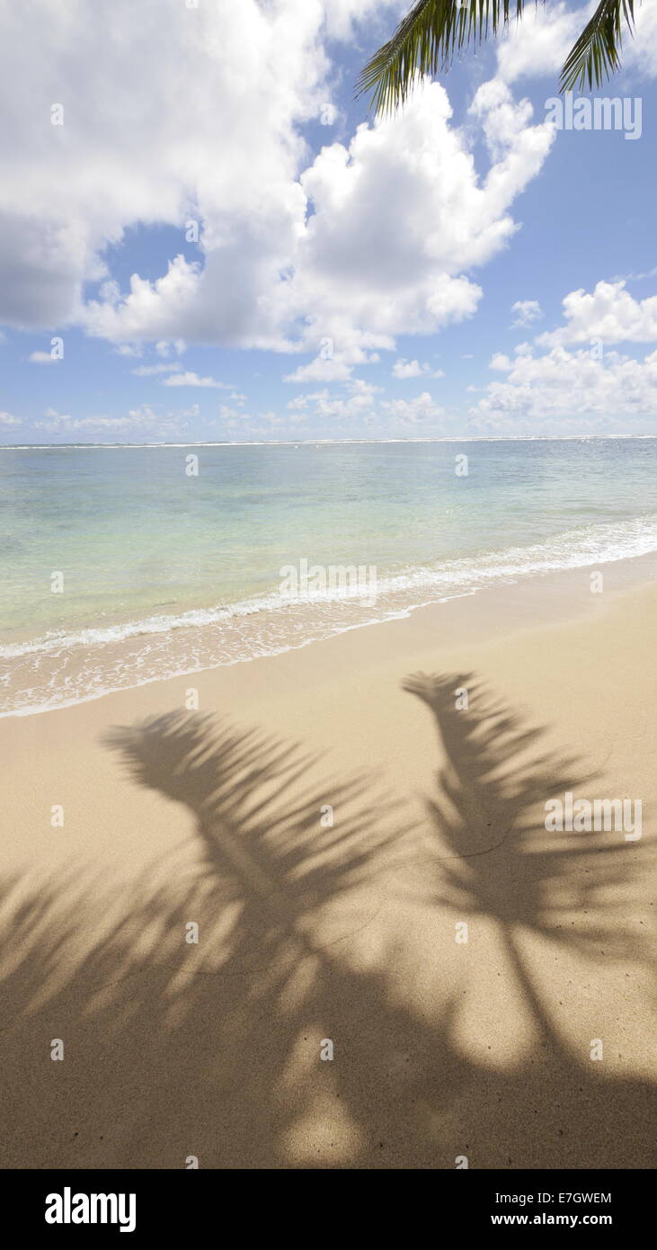 Kaaawa Beach Park, Oahu, Hawaii, shadow Stock Photo - Alamy