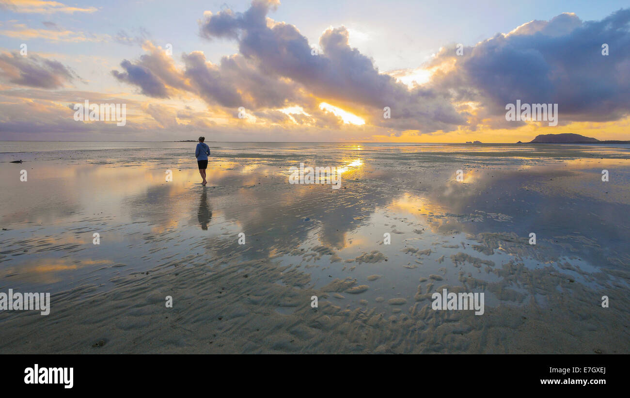 Sandbar, Kaneohe Bay, Oahu, Hawaii Stock Photo - Alamy