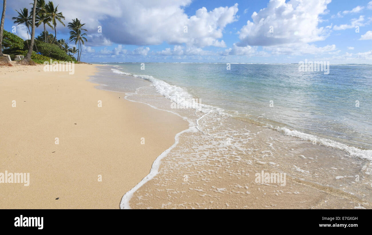 Windward shore hi-res stock photography and images - Alamy