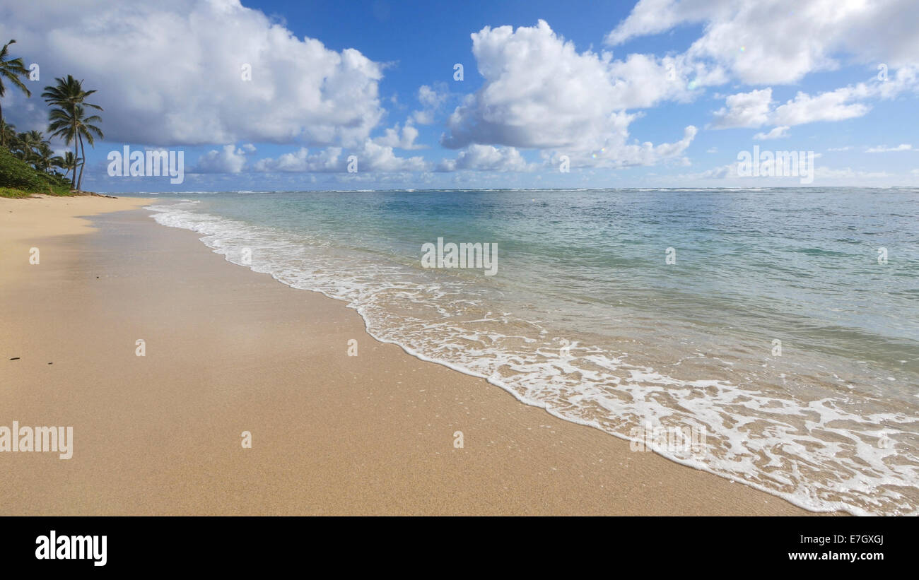 Windward coastline oahu hawaii hi-res stock photography and images - Alamy