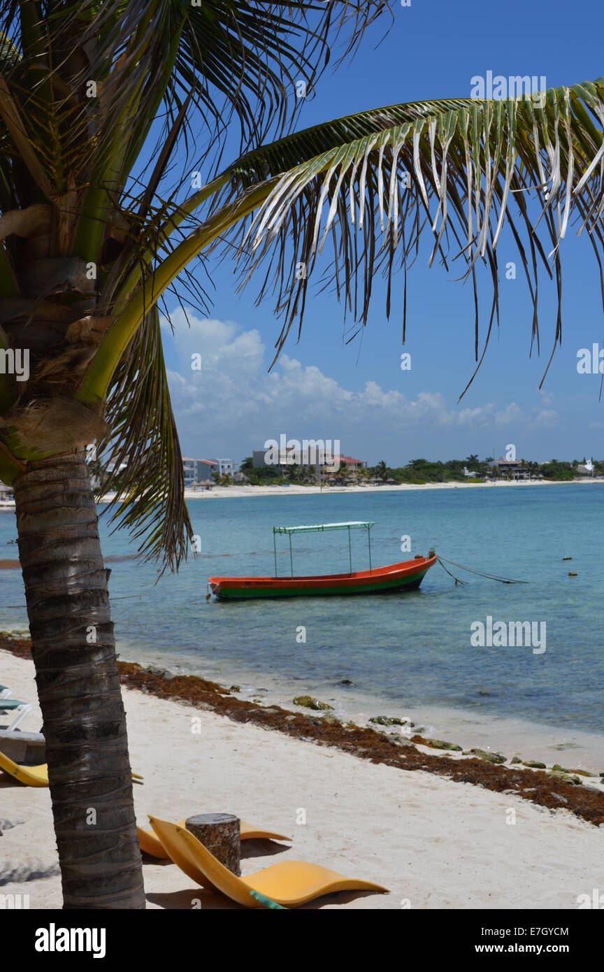 Palm wood boat hi-res stock photography and images - Alamy