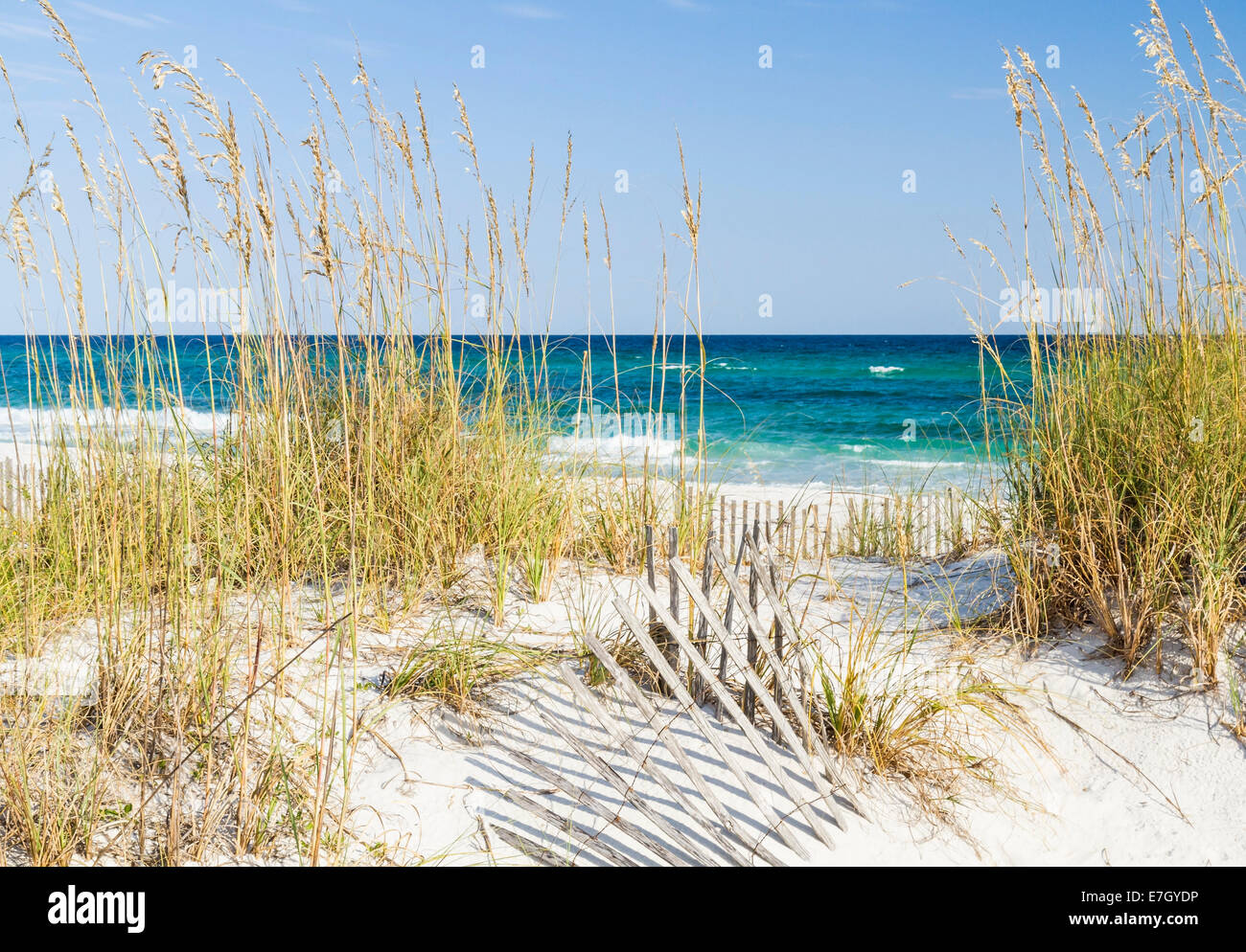 Beach Sea Oats 4,485 Beach Sea Oats Royalty Free Images, Stock Photos