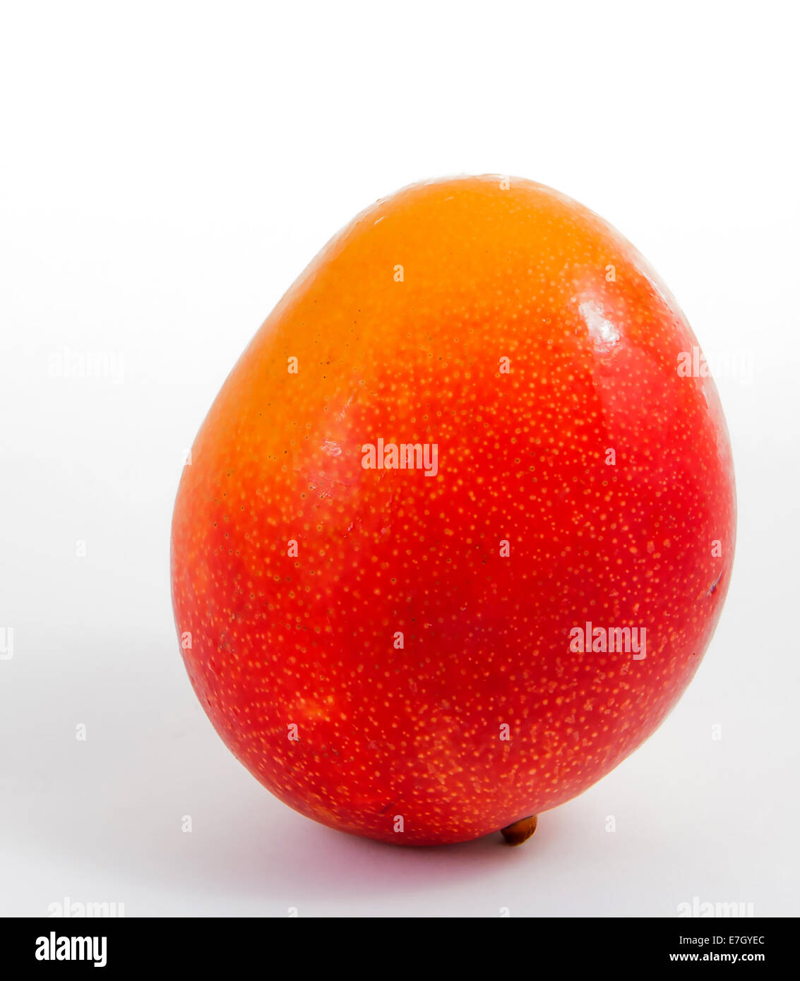 Single mango on white background Stock Photo - Alamy