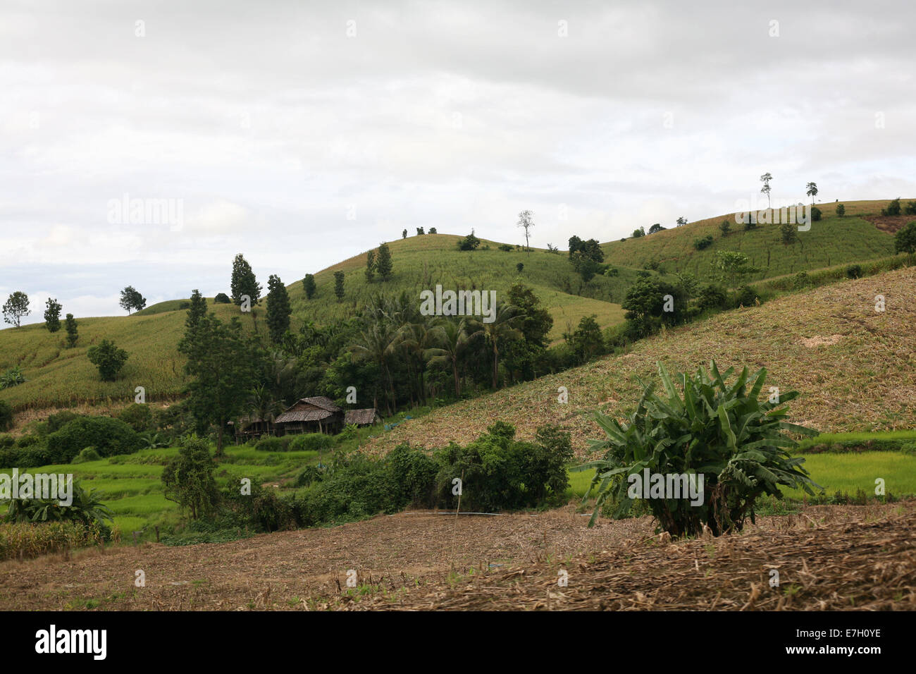 Thai-Burma Border, Thailand. 17th September, 2014. The remote hills of ...
