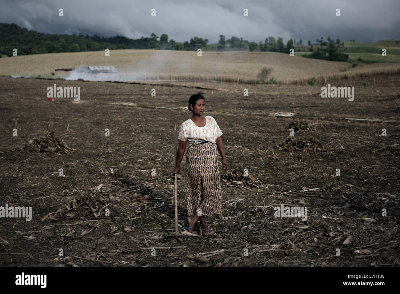 Thai-Burma Border, Thailand. 17th September, 2014. A Burmese migrant ...