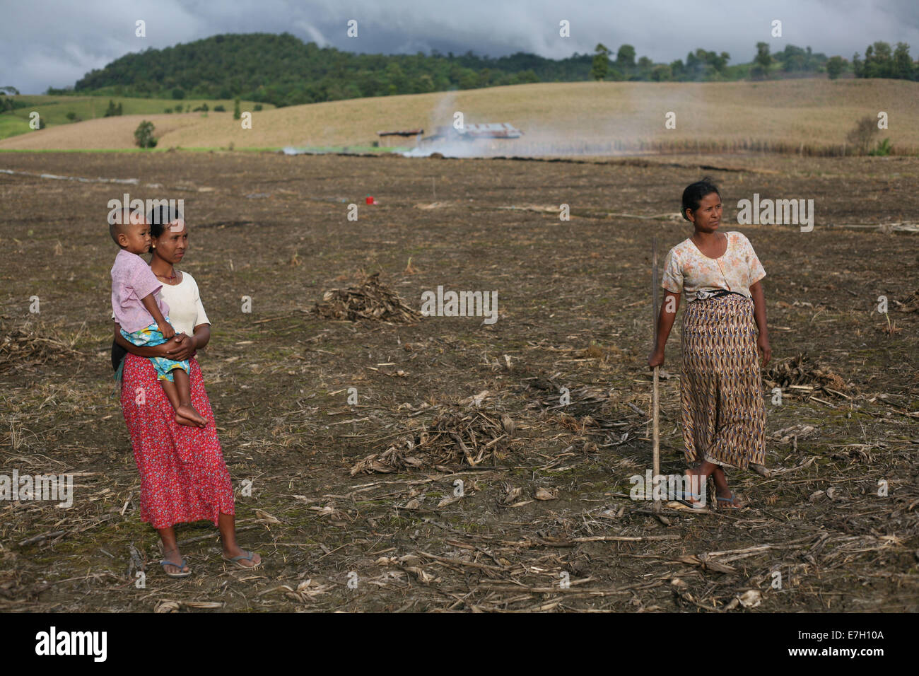 Thai-Burma Border, Thailand. 17th September, 2014. Burmese migrant ...