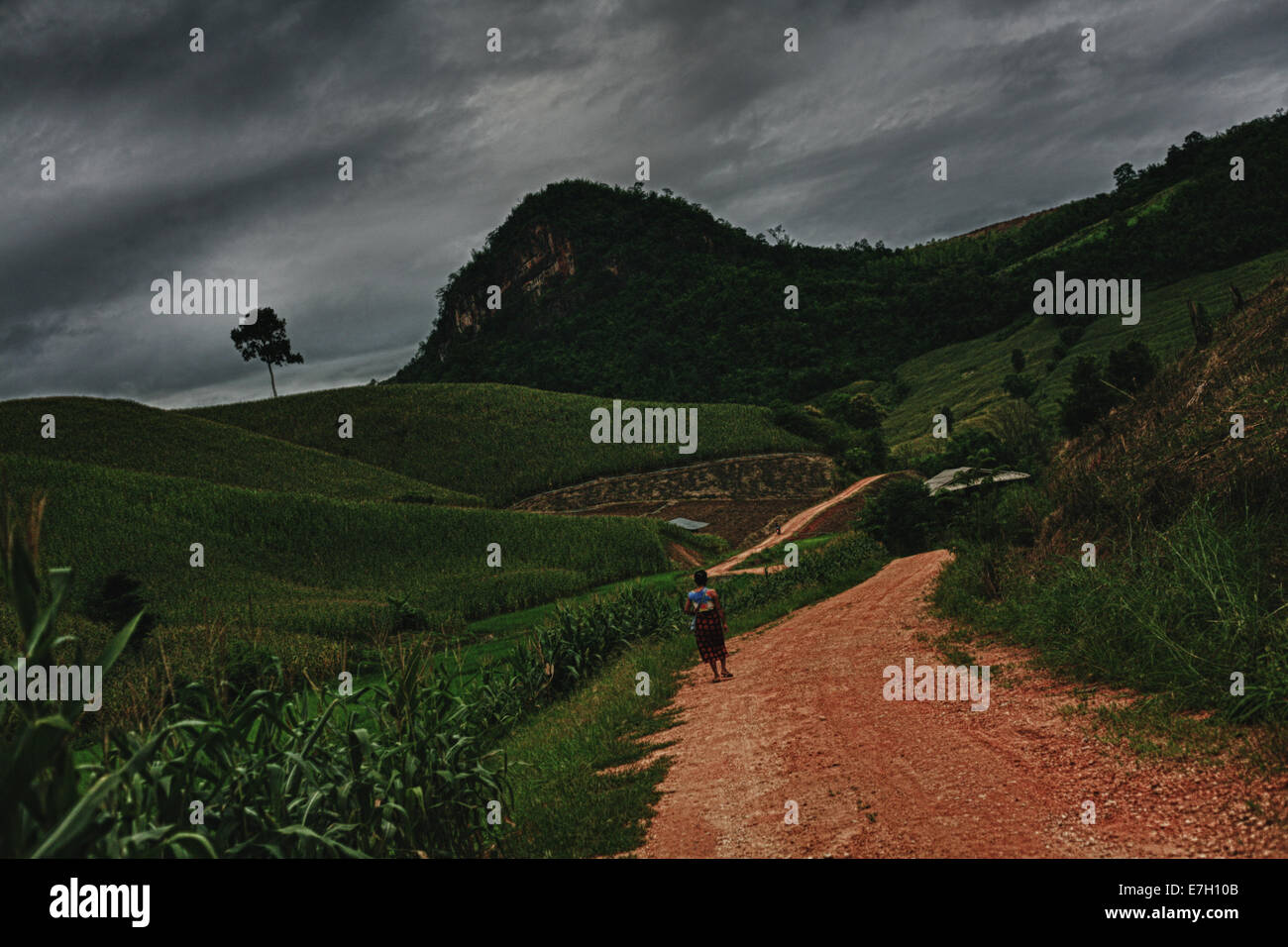 Thai-Burma Border, Thailand. 17th September, 2014. The remote hills of ...