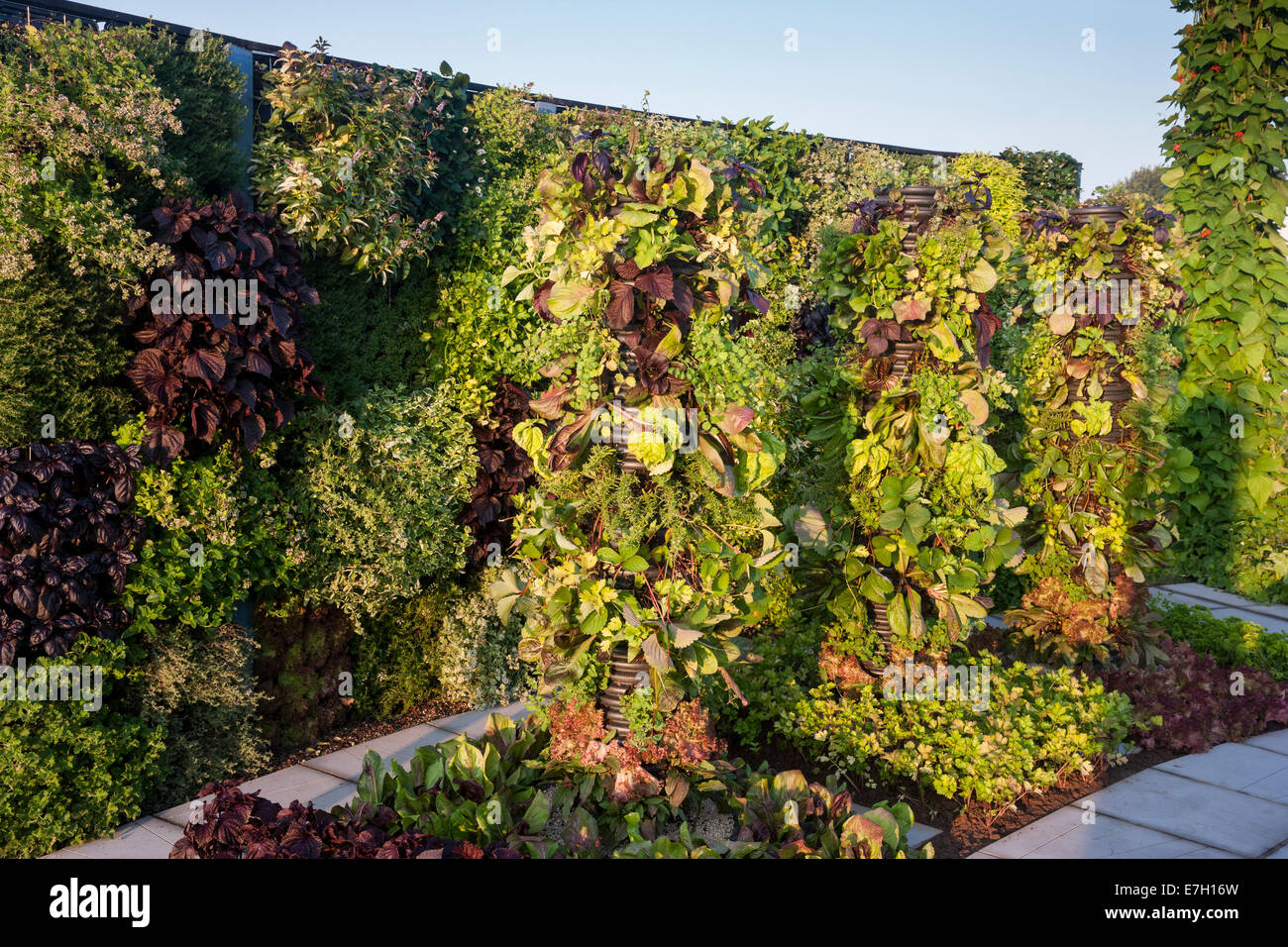 Edible Wall Garden Exterior