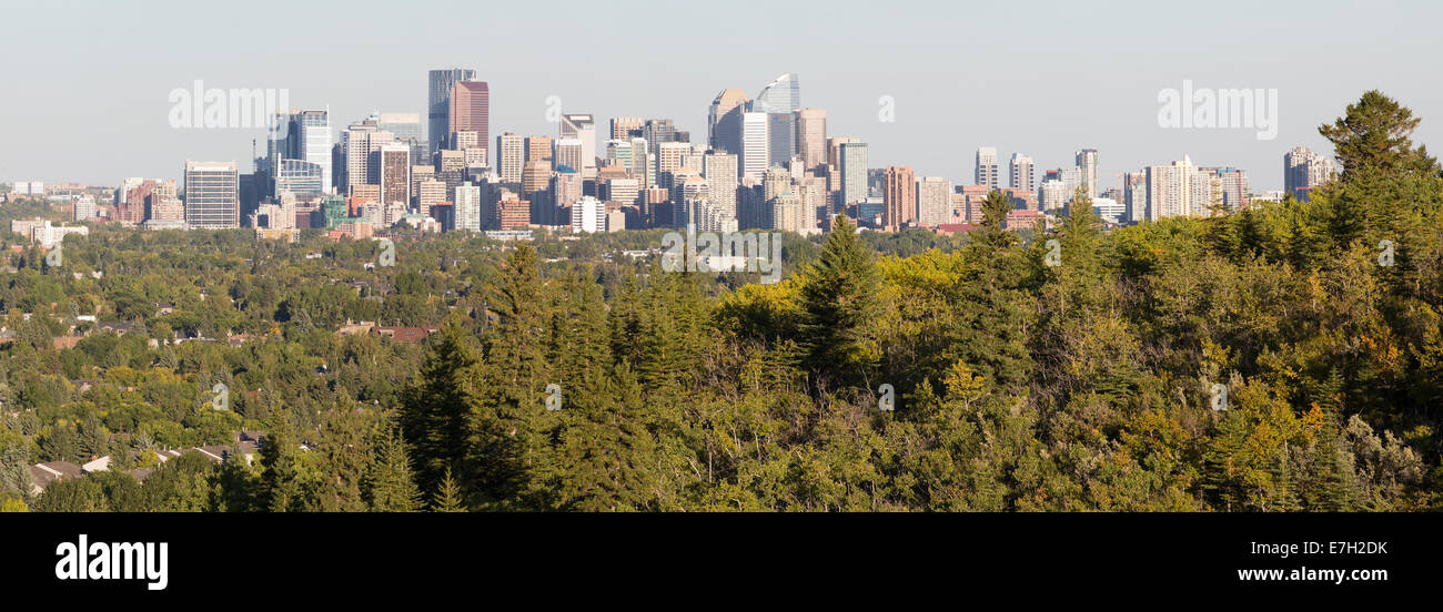 Calgary city skyline with one of the most easterly stands of Douglas ...