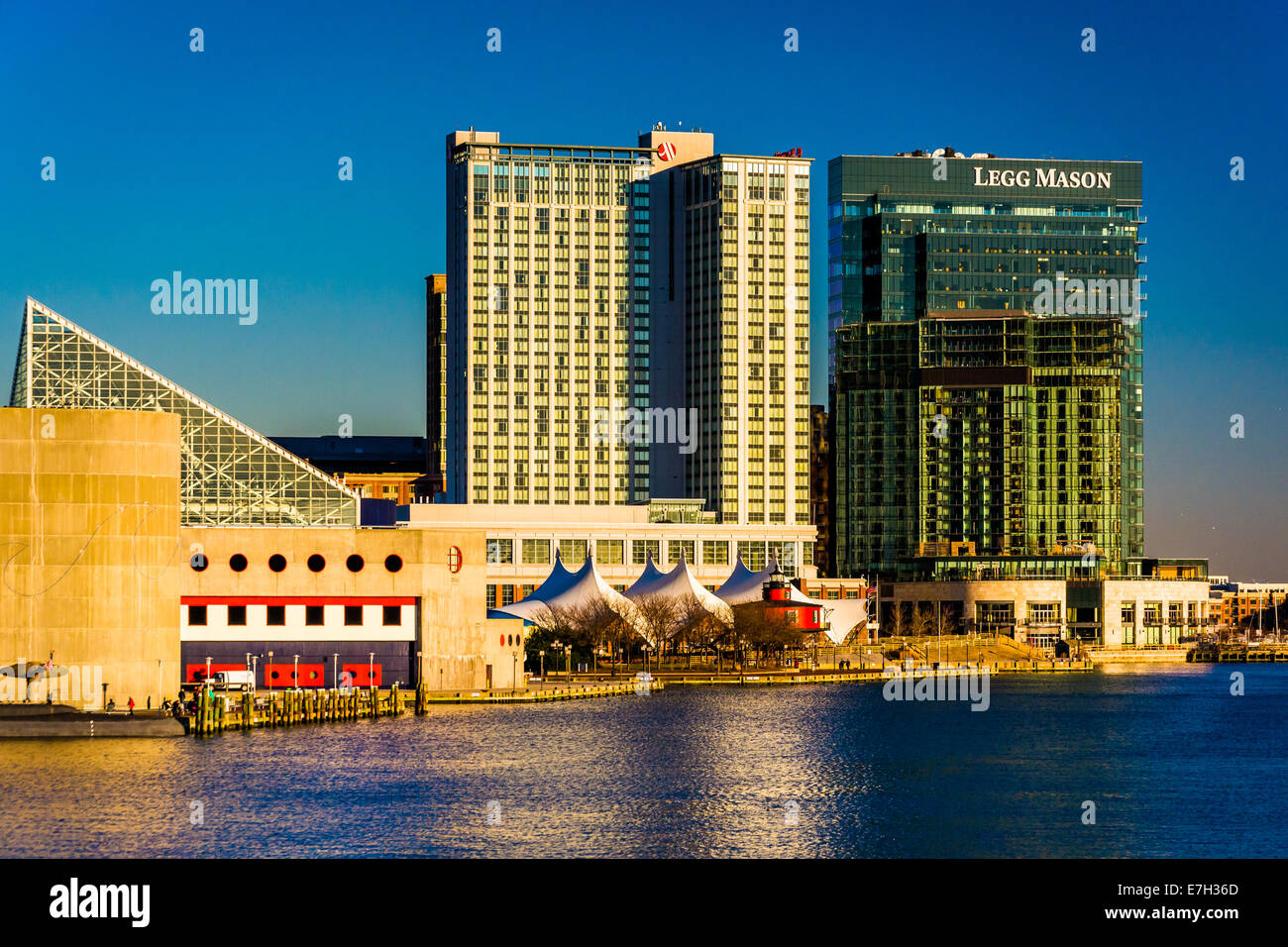 The Legg Mason Building and Marriott Waterfront Hotel in the Inner ...