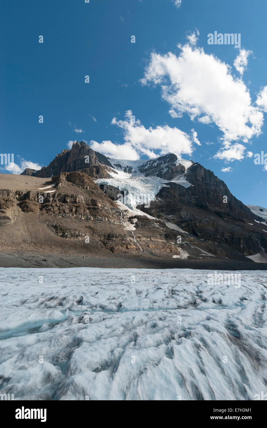 Columbia icefield alberta canada hi-res stock photography and images ...