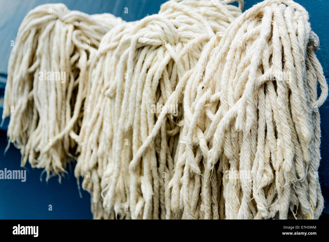 Mops hi-res stock photography and images - Alamy