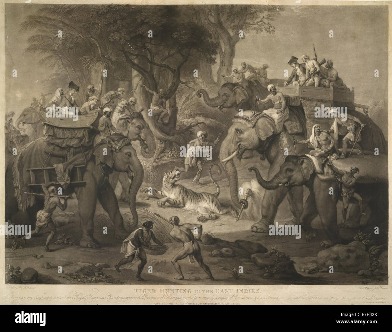 Illustration by Richard Earlom from 1802 depicting a tiger hunting ...