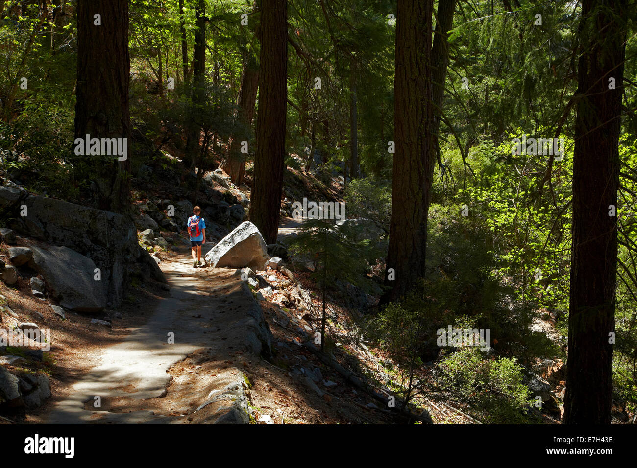 Hikers in forest on The Mist Trail to Vernal Fall and Nevada Fall ...