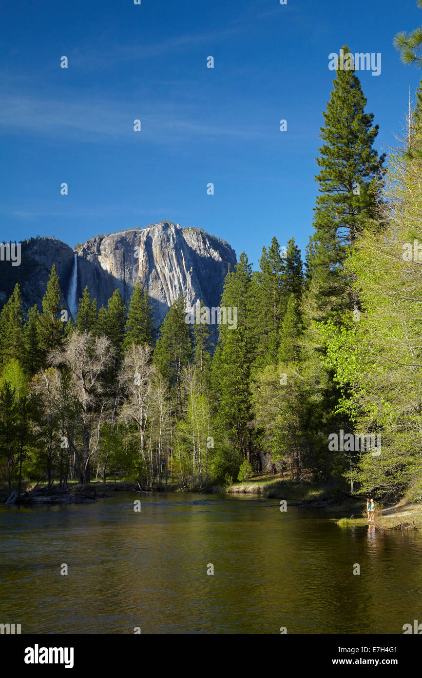 Tourists looking Yosemite Falls, from beside Merced River, Yosemite ...