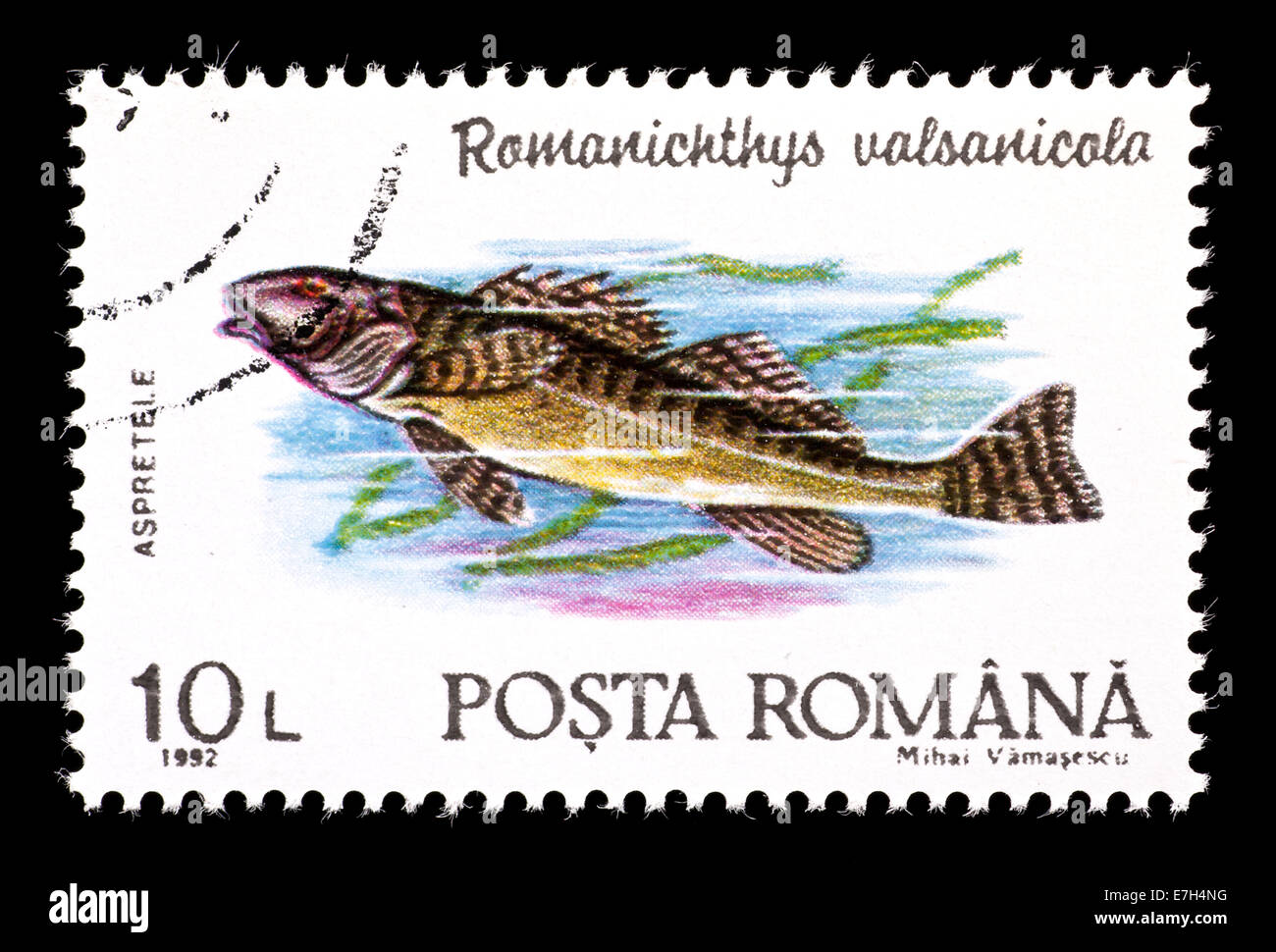 Postage stamp from Romania depicting Romanian darter (Romanichthys ...