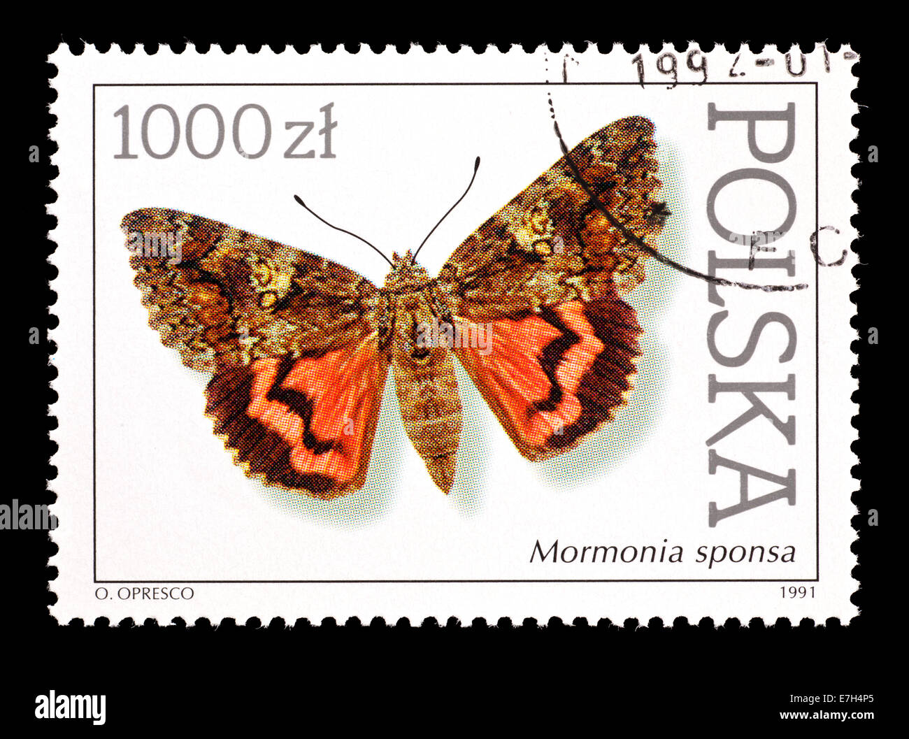 Postage stamp from Poland depicting a European moth species (Mormonia ...