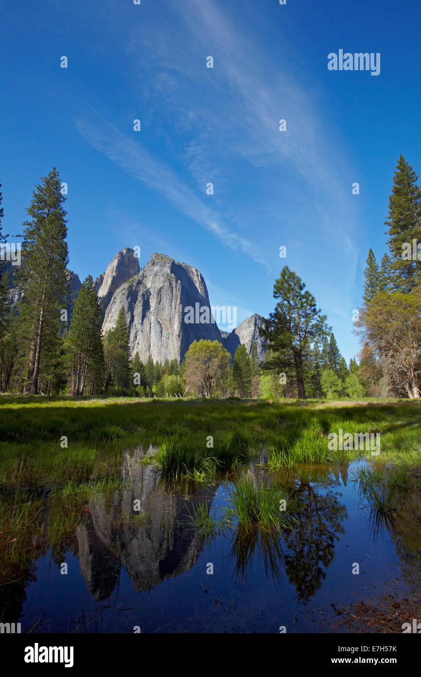 Cathedral Rocks reflected in a pond in Yosemite Valley, Yosemite ...