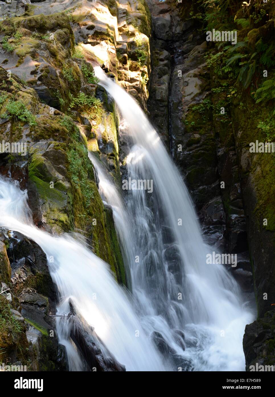 Sol duc river hi-res stock photography and images - Alamy