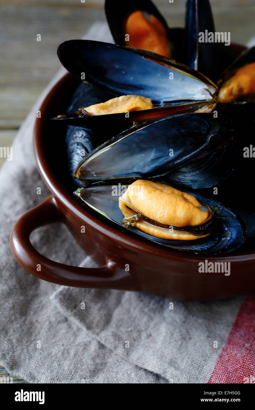 Marine mussels hi-res stock photography and images - Alamy