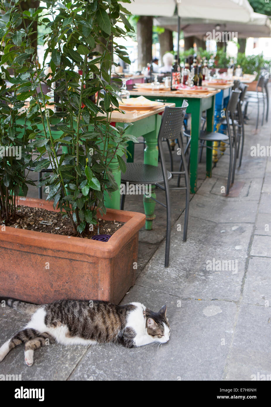 Fiesole restaurant hi-res stock photography and images - Alamy