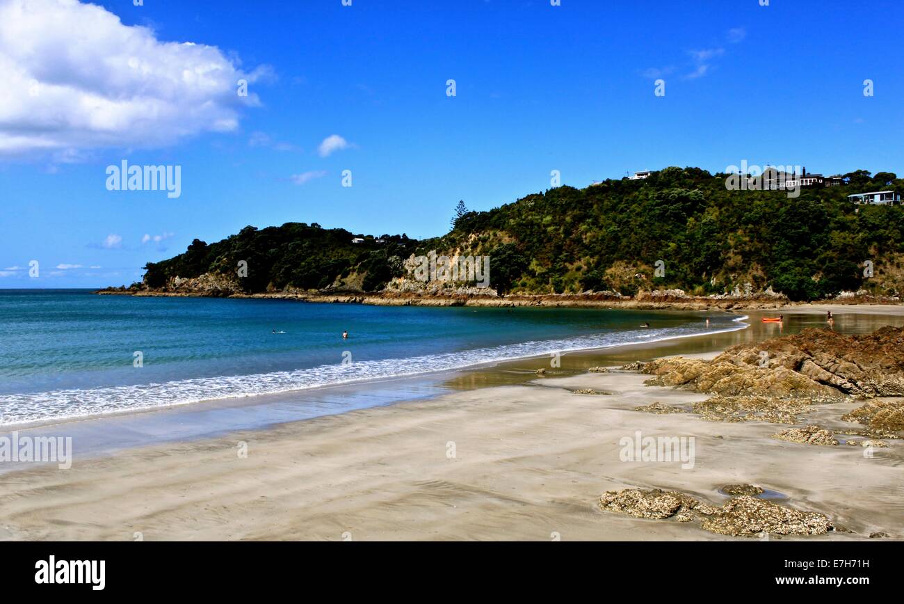 Waiheke island, new zealand hi-res stock photography and images - Alamy