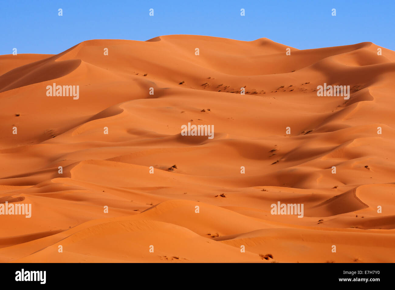 Merzouga, Erg Chebbi, Merzouga sand dunes, Sahara Desert, Morocco ...