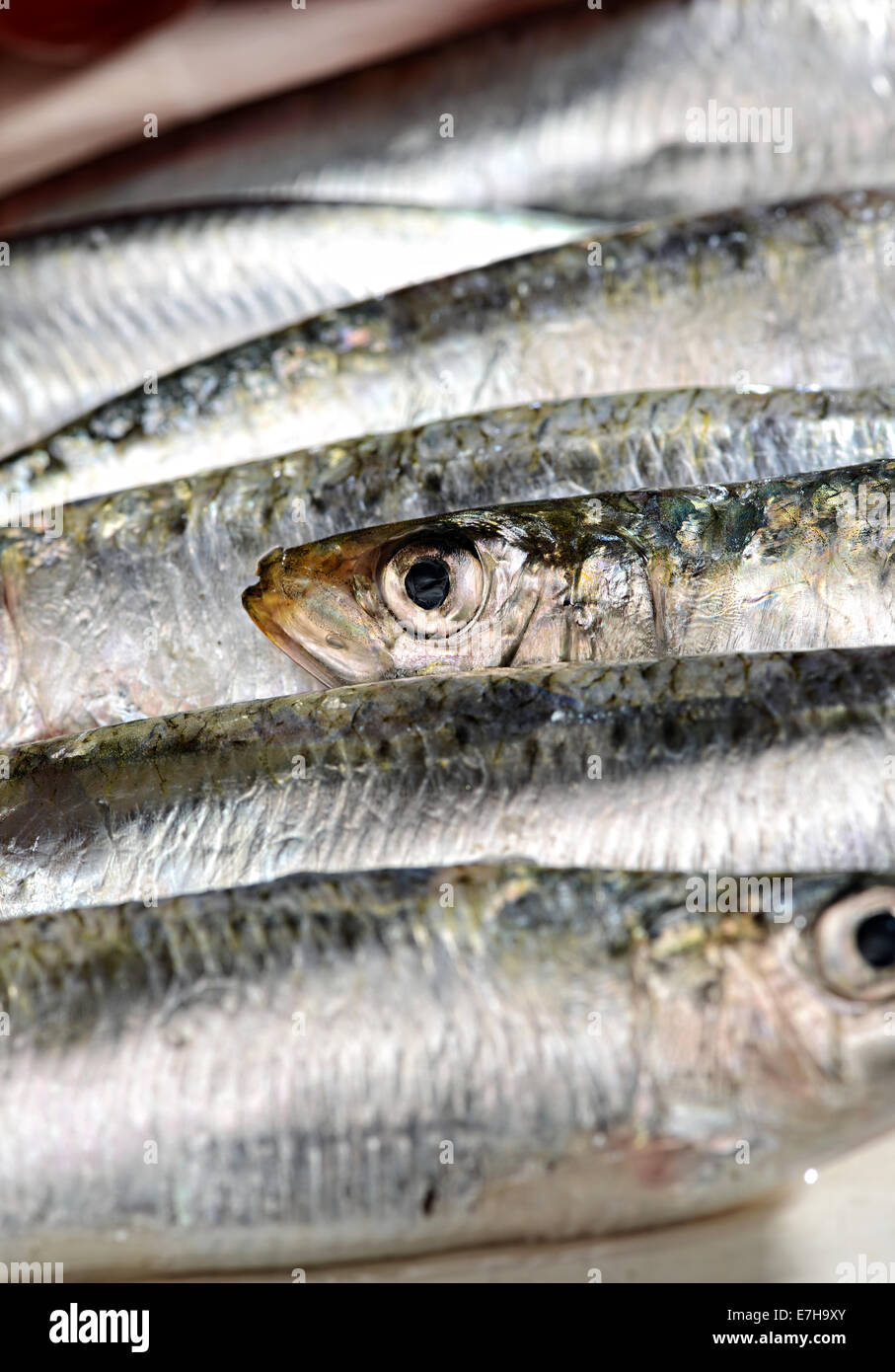 Raw dinner hi-res stock photography and images - Alamy