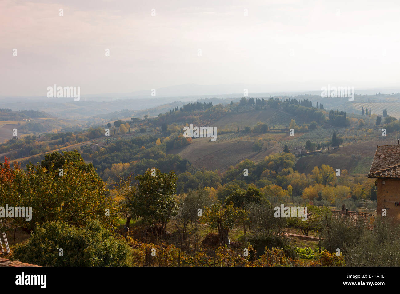 Vineyard in the chianti region hi-res stock photography and images - Alamy