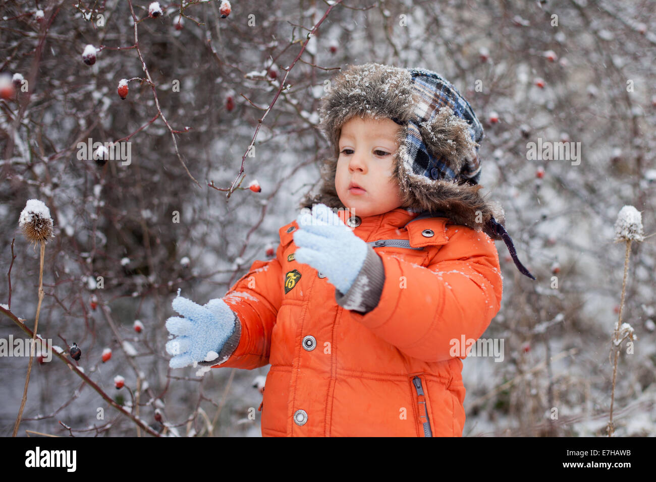 Winter snowy portrait of a boy Stock Photo - Alamy