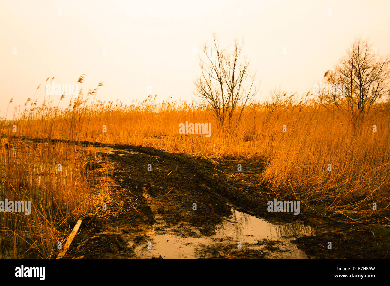 Mud is mixture of water any combination of soil hi-res stock ...