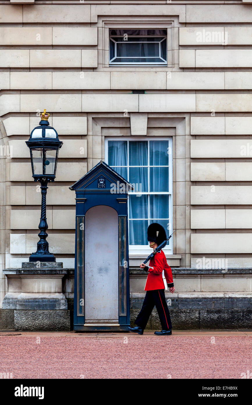 Palace Guard, Buckingham Palace, London, England Stock Photo - Alamy