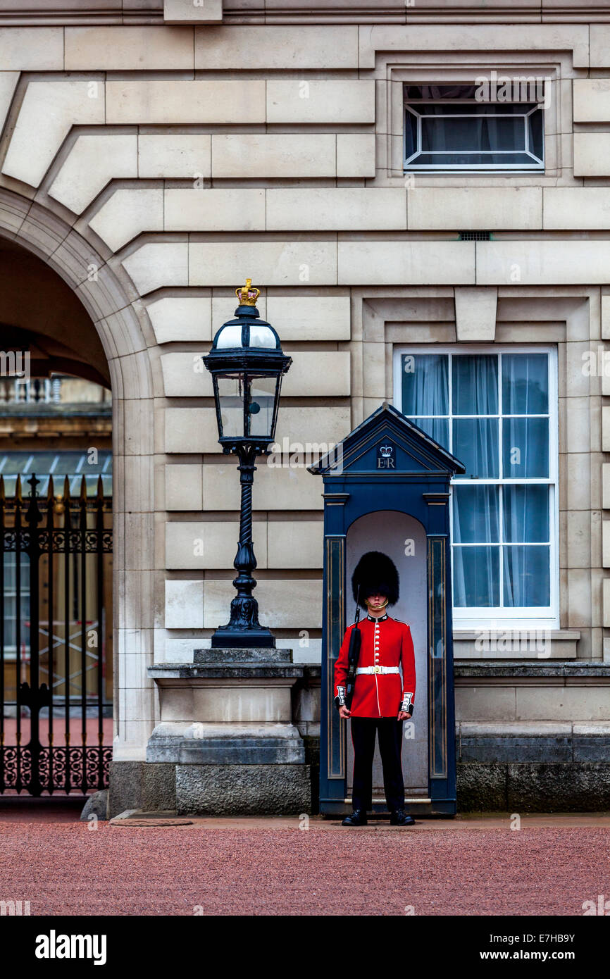 Palace Guard, Buckingham Palace, London, England Stock Photo - Alamy