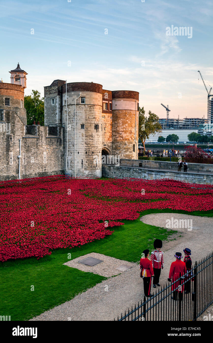 Poppy Display at The Tower of London To Commemorate the 100 year ...