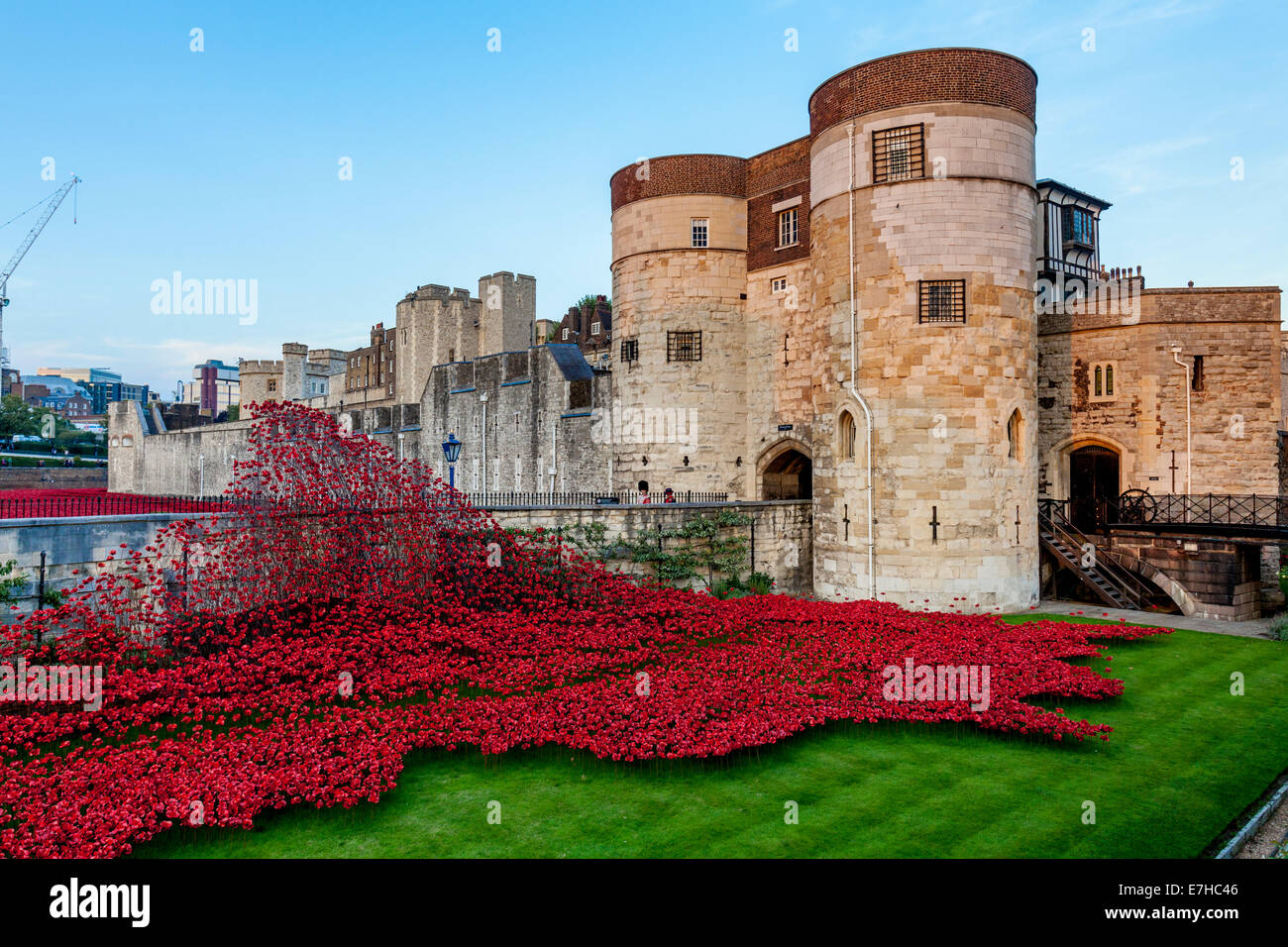 Poppy Display at The Tower of London To Commemorate the 100 year ...